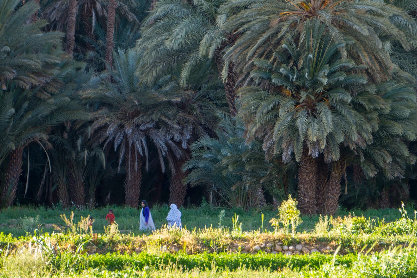 Maroc - cheile Trandafirilor, Dades și Todra și Ait Ben Haddou (2-6 ...