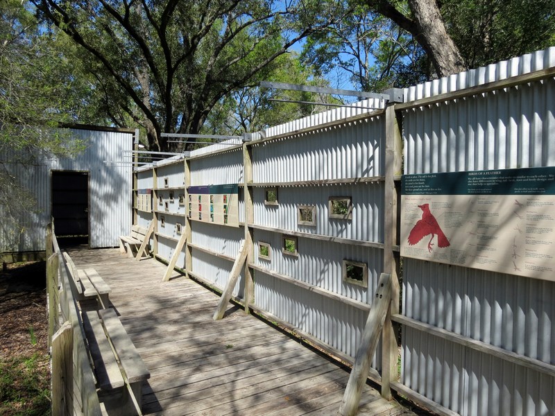 Texas Nature: Armand Bayou Nature Center Part 2