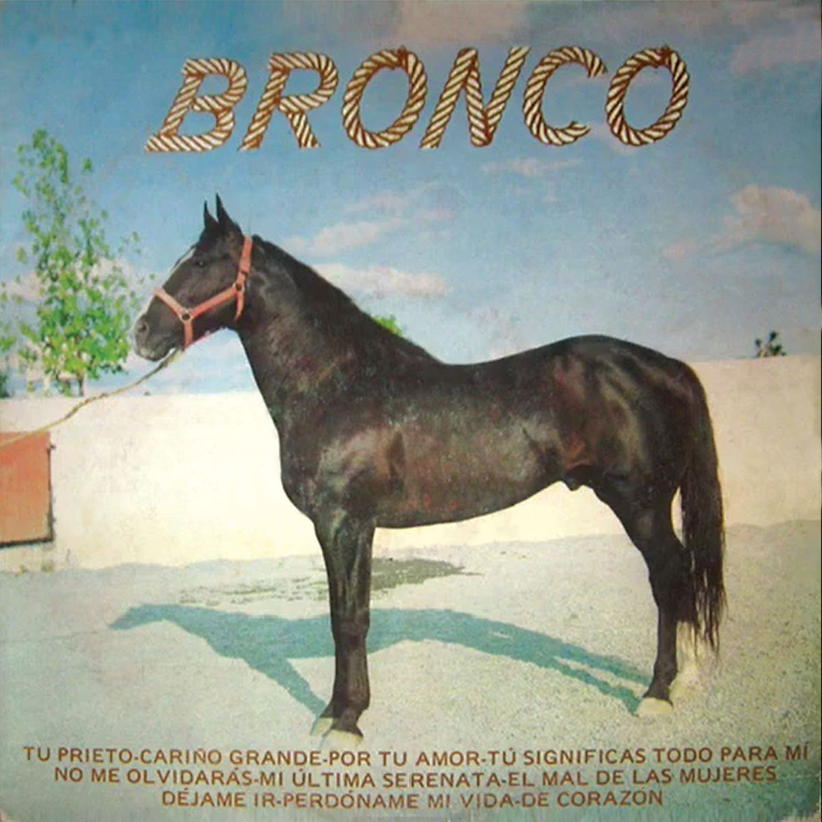 Mis discografias : Discografia Bronco