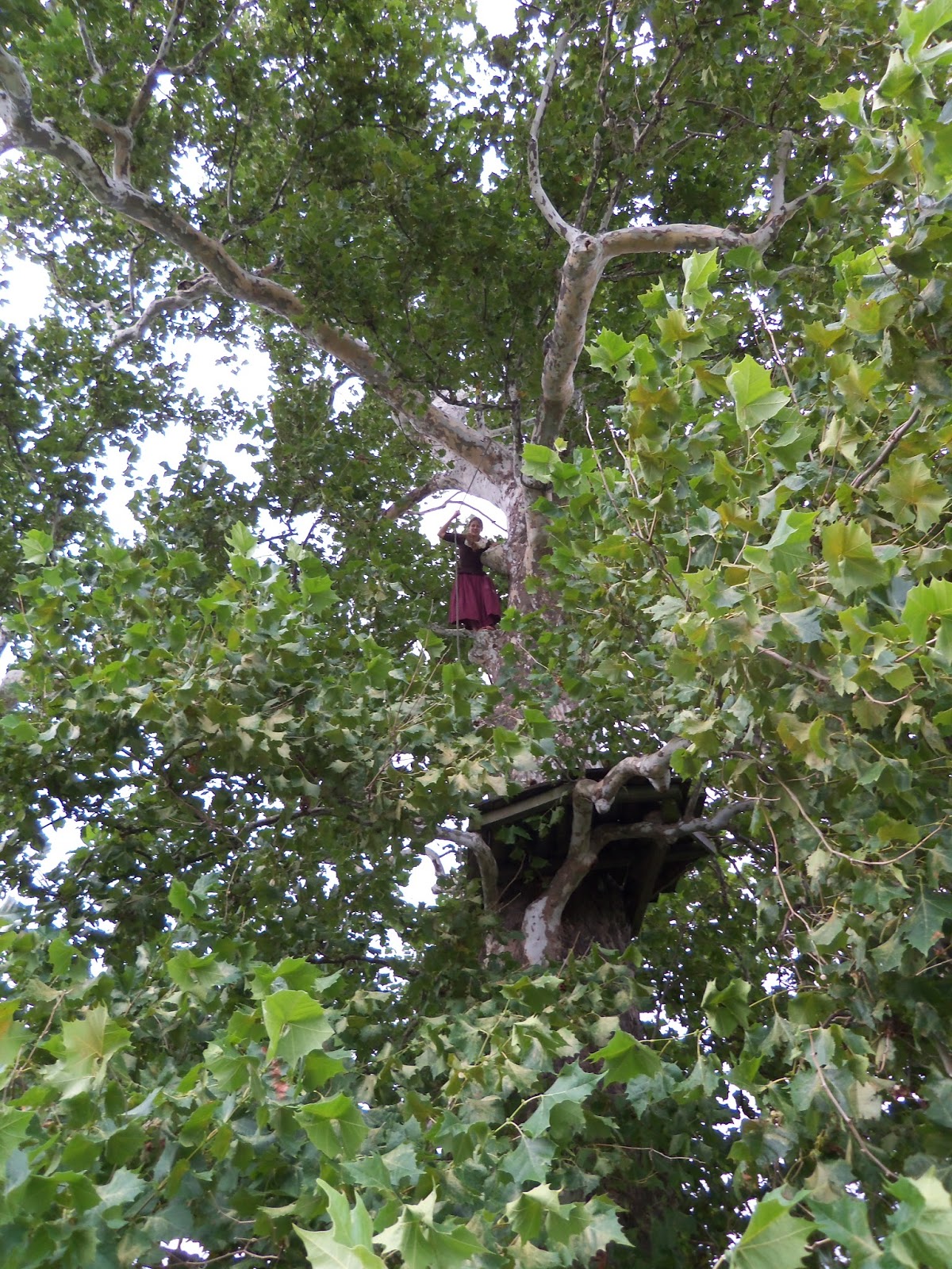 Wind In My Sails: Beyond the Mask!