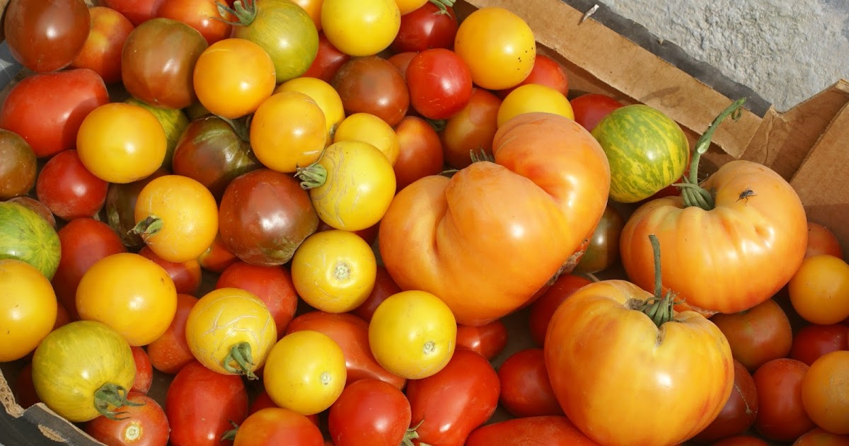 A Green and Rosie Life: Veg, Fruit and Foraged Foods in Season in July