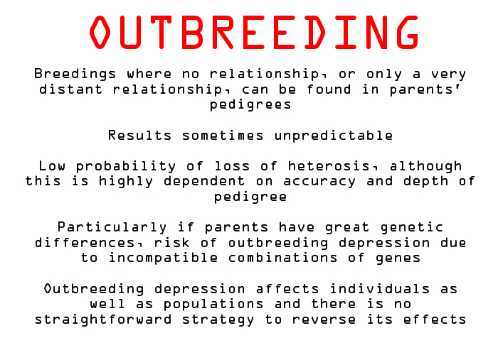 Adventures in Smallholding: The In(breeding)s and Out(breeding)s of ...