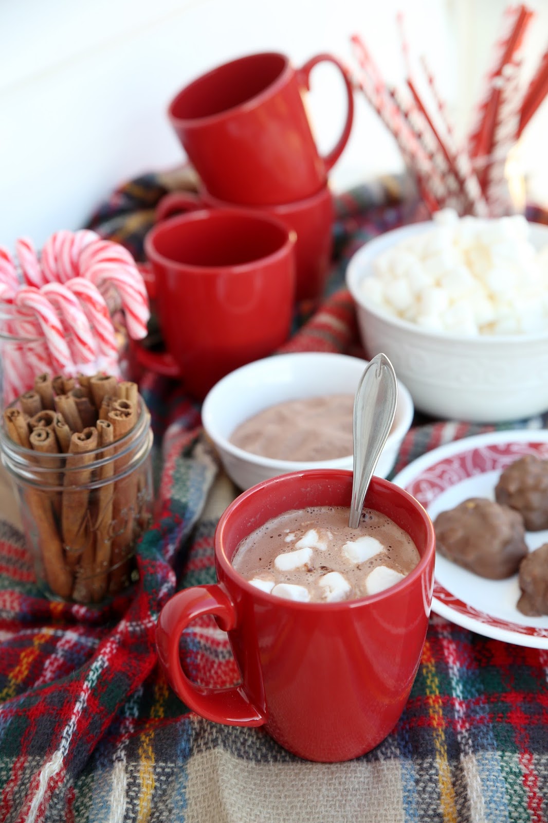 b.davis photography: Christmas Coco Celebration