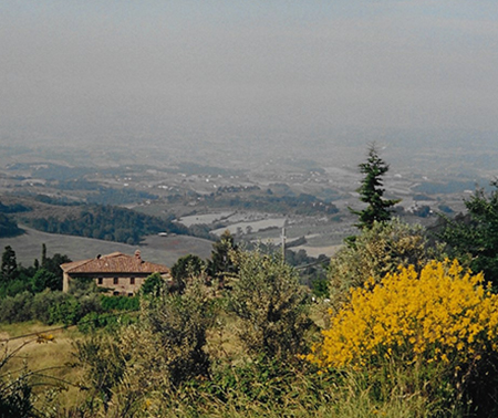 Cocoa and Lavender: The Great Caper Caper