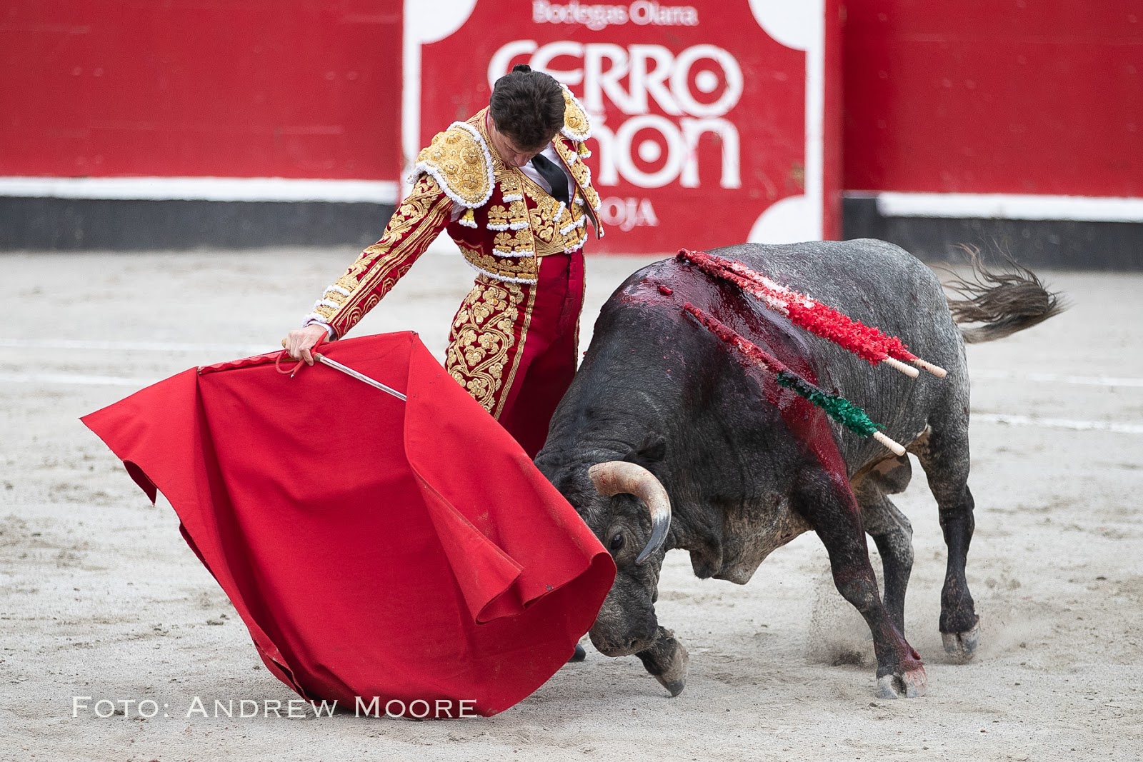 Del toro al infinito: Los toros de Azpeitia en el objetivo de Andrew ...