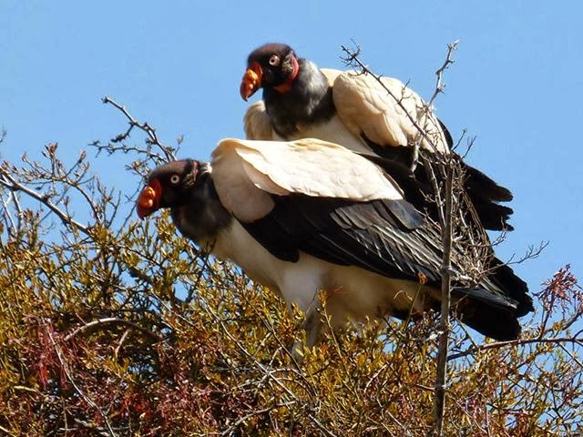 FM La Bocona 93.1 - Radio Comunitaria: Santa Vera Cruz: Difunden ...