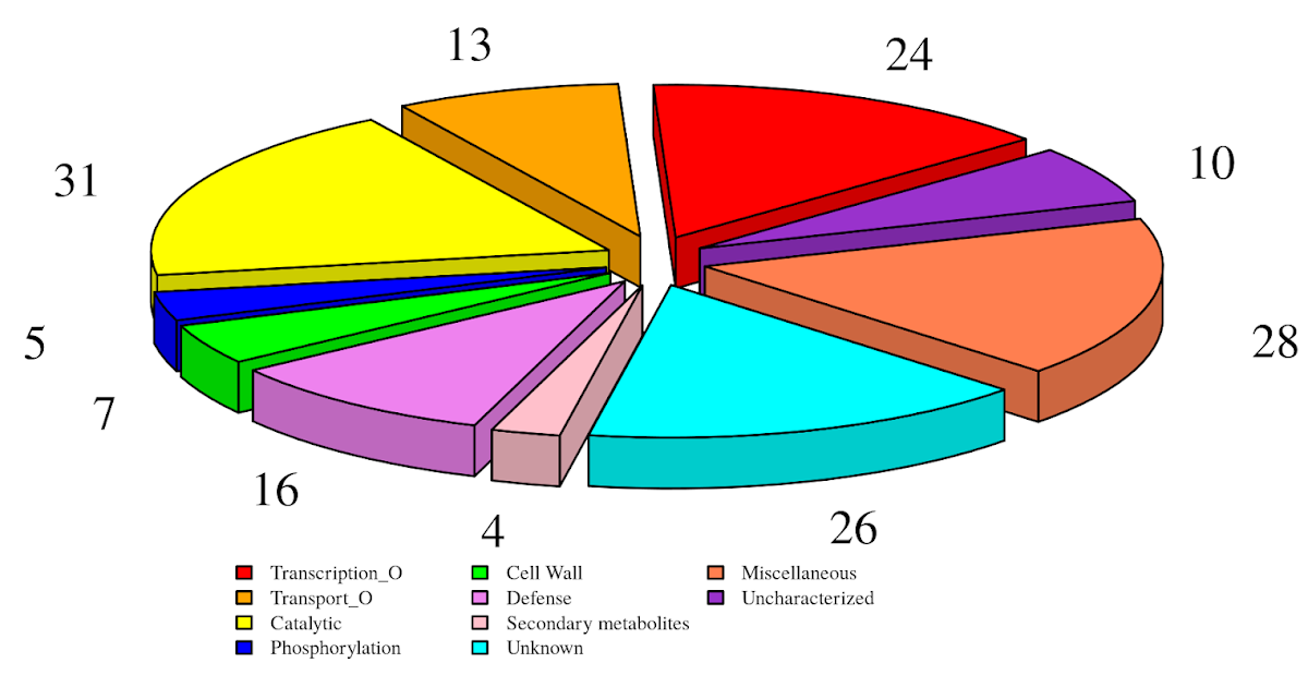 How To Create A 3D Pie Chart In R Bioinformatics Made Simple how-to-create-a-3d-pie-chart-in-r-bioinformatics-made-simple