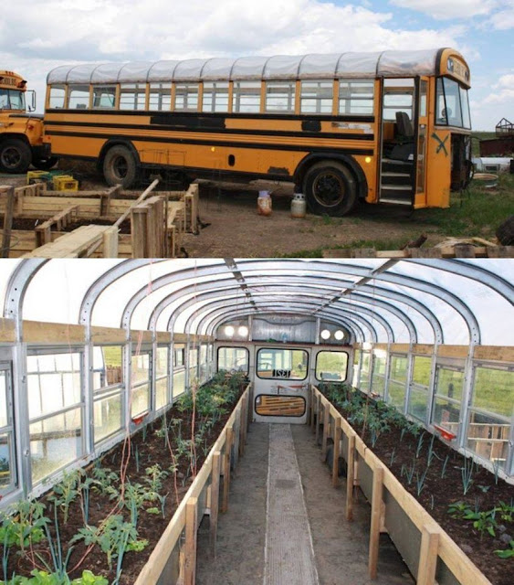 School bus turned into a greenhouse - Creative DIY