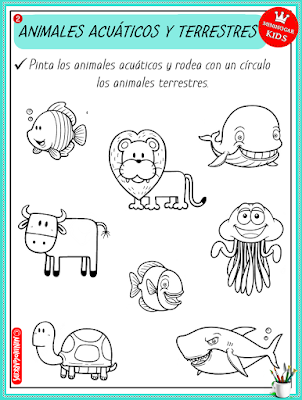 Minihogar Kids