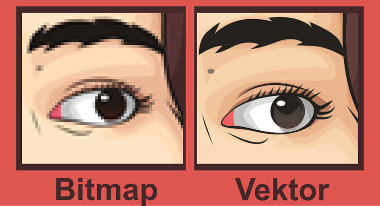 Pengertian dan Perbedaan Gambar Vektor dengan Bitmap Dalam Desainer ...