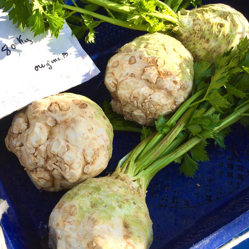 Weird Root Vegetables