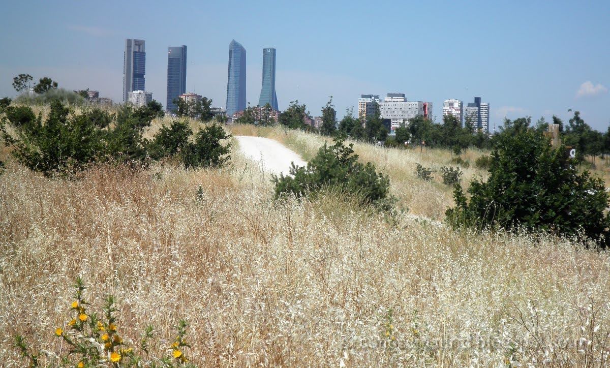 Conocer Madrid: Distrito de Hortaleza