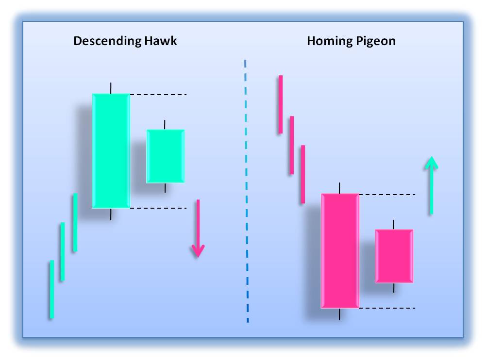 Forex Candlesticks Descending Hawk and Homing Pigeon - Best Nurses