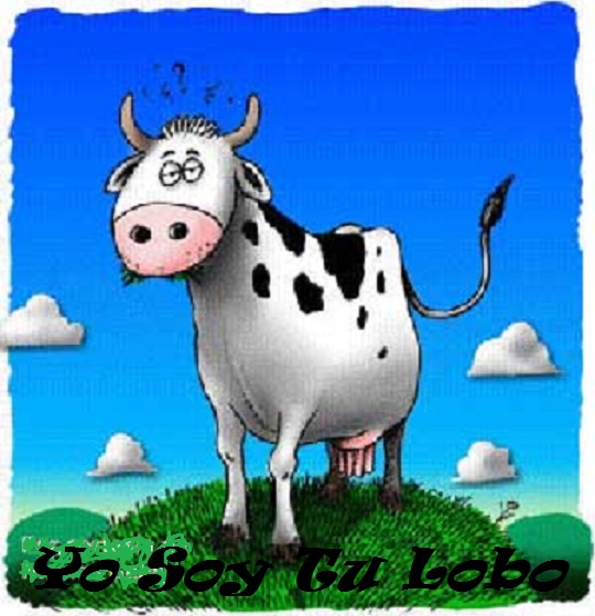 Yo Soy Tu Lobo: La Vaca