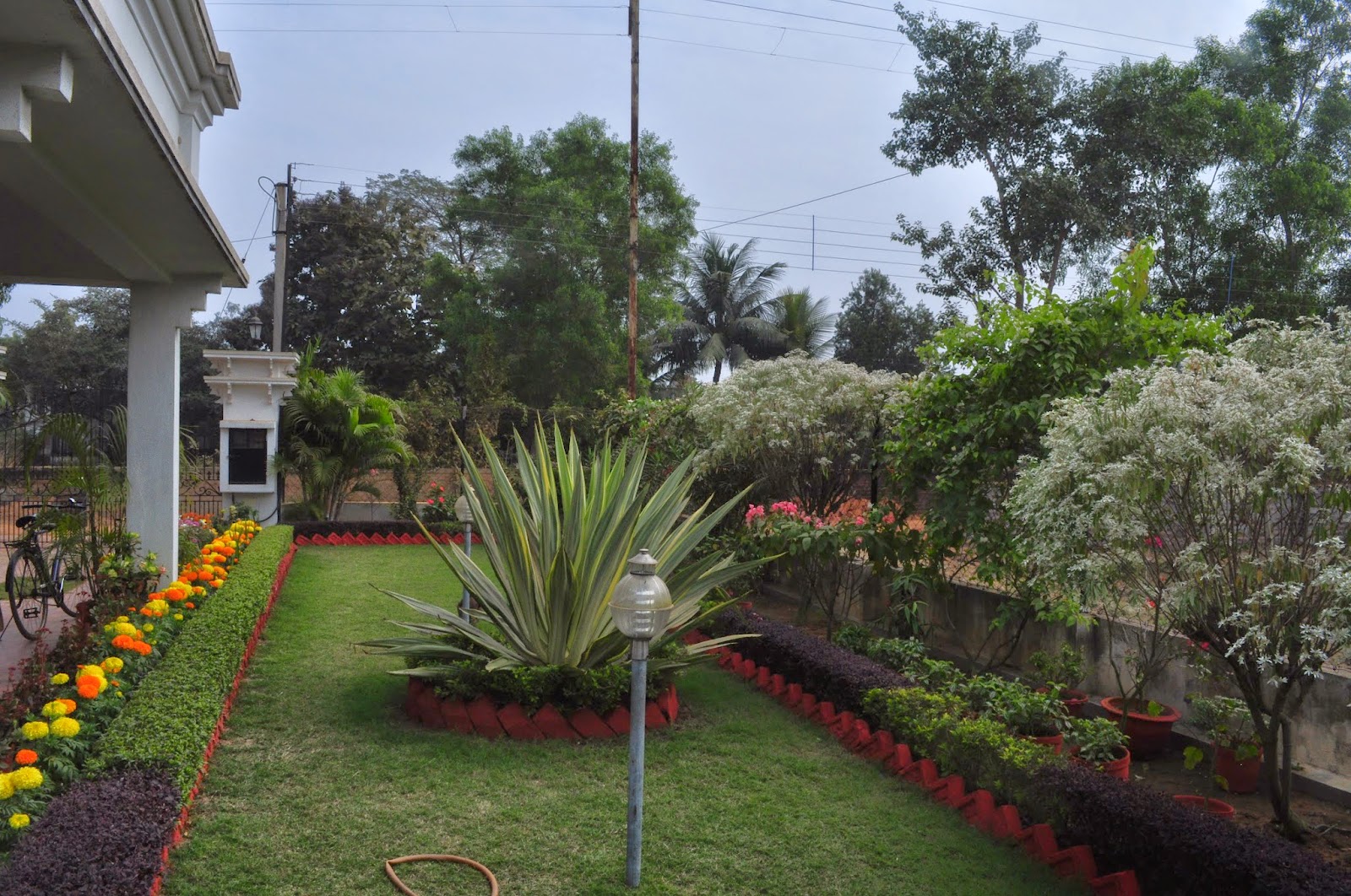 Diary 2: A ride through Shantiniketan (Poush Mela Memories) - Tripoto