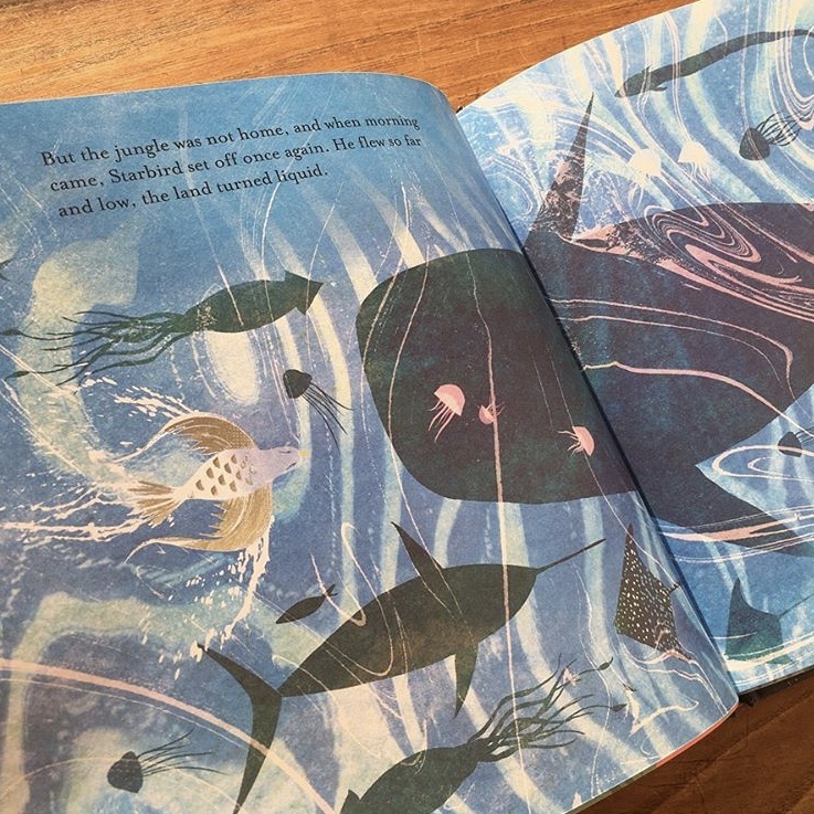 Spectacular Picture Books Highlight - Starbird - BookBairn