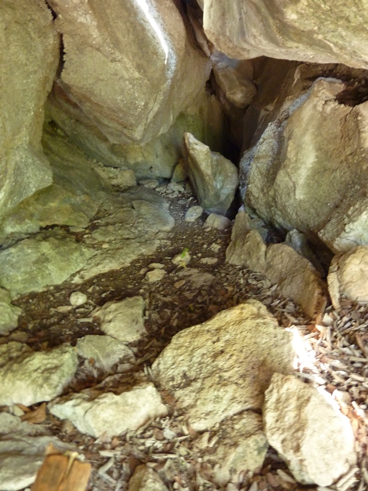 The Creek Journal: Priest Cave