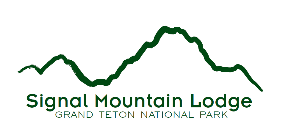Signal mountain lodge - computingpoliz