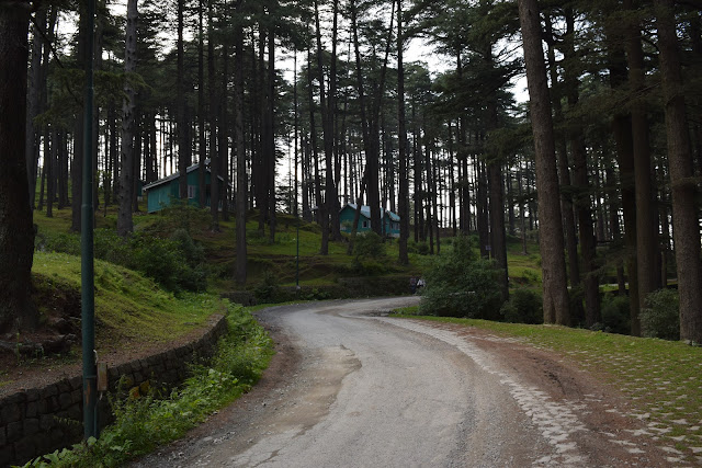 Road Less Travelled: Patnitop- J&K's Other Summer Retreat
