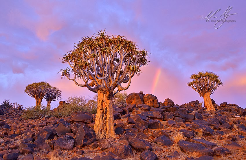 Photo Writing - Exploring Photography.: Namibia Landscape Workshop - 4 ...