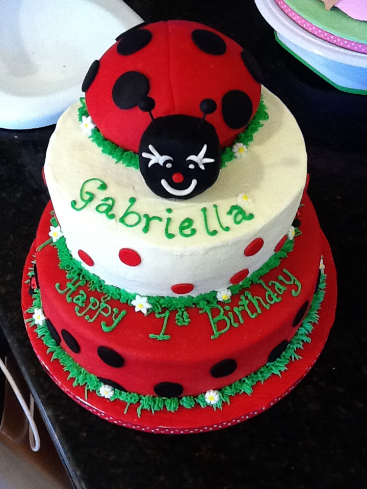 Katiediditcakes: Ladybug cake