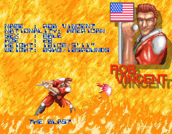 VGJUNK: KNUCKLE HEADS (ARCADE)