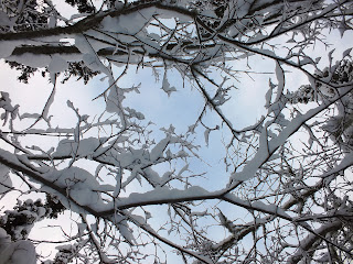 Imajin8: Skiing at UAF