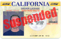 Sgt Al's Blog: DOES DMV HAVE TO NOTIFY ME FOR MY LICENSE TO BE SUSPENDED?