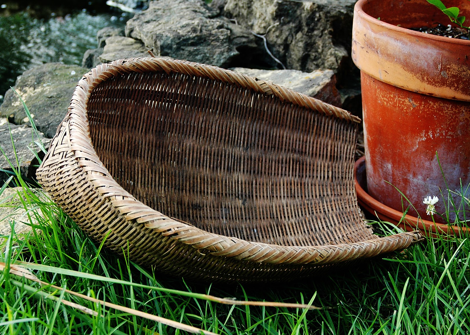 Shallow Thoughts from Iowa: Interesting scoop-shaped basket