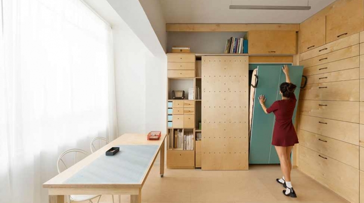 Develop a 15m2 studio with a lot of storage space - Lady's Houses
