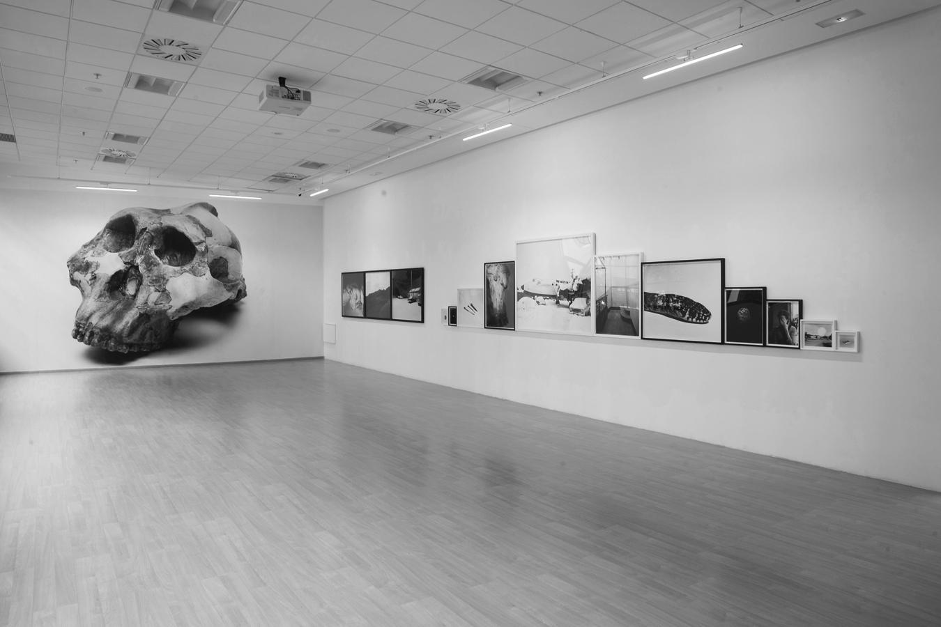 Aleix Plademunt