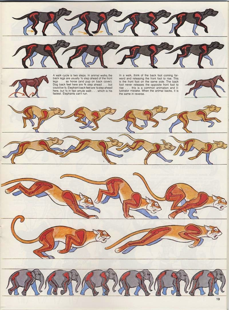 Jacob Romeo EDU Animation : Walk Cycles