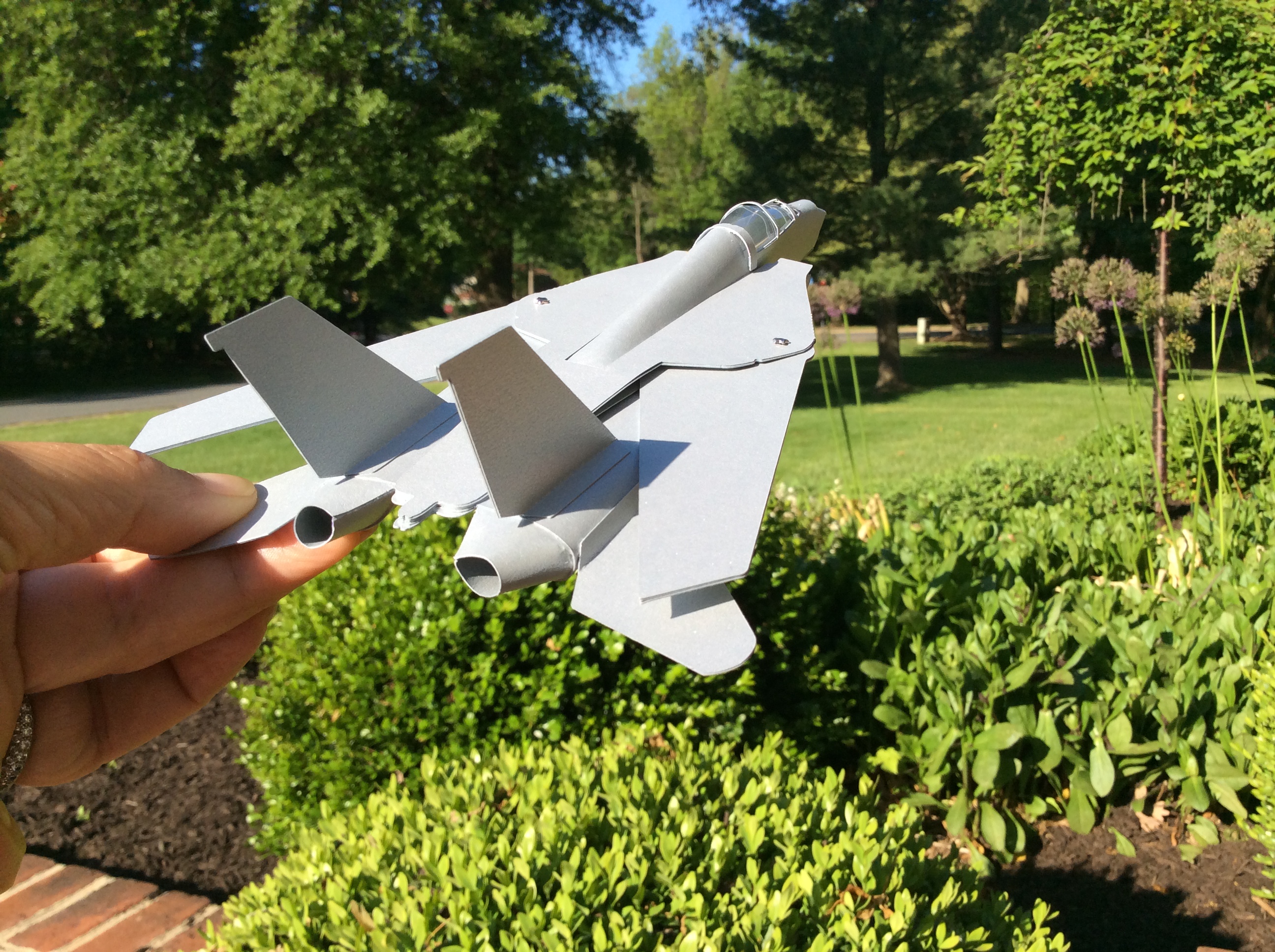 Papercrafts and other fun things: A STEM Project: F14 - Tomcat with ...