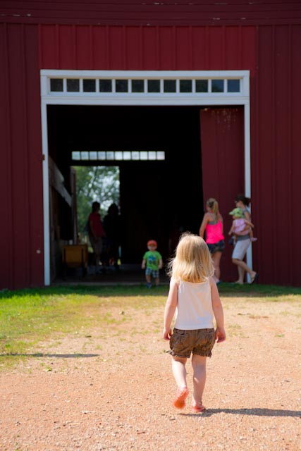 The World According to Evie: Eidem Homestead