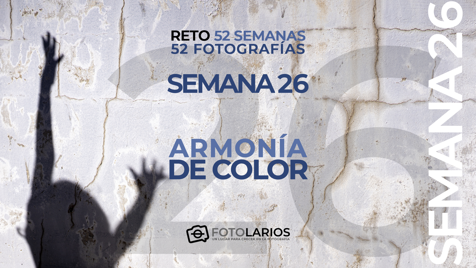 Reto 52 semanas - 26 - Armonía de color - Fotolarios