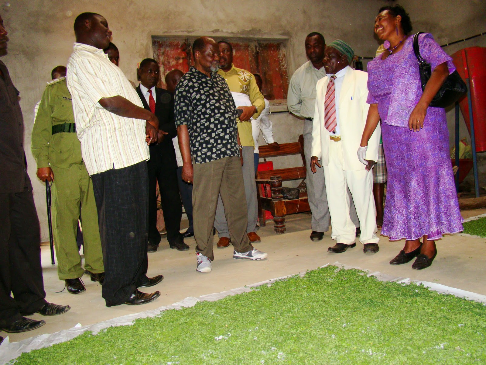 Inawezekana: Mti wa Mlonge