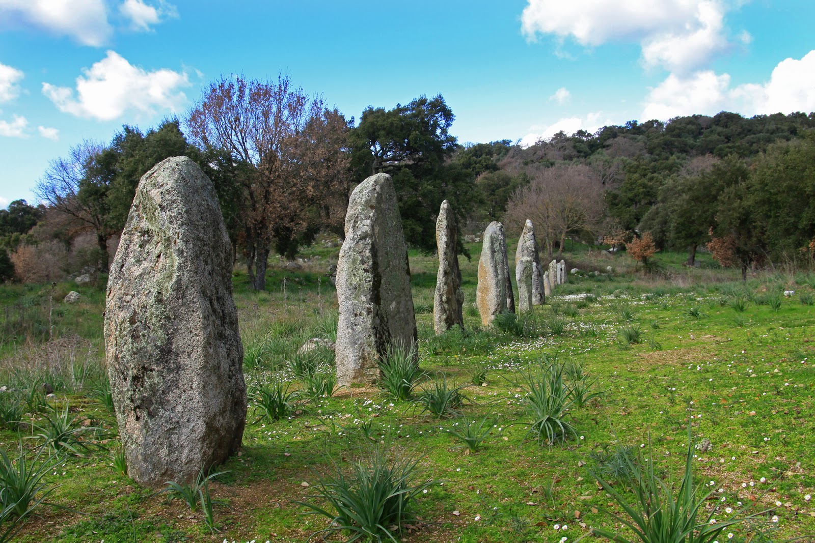 Menhir ~ SardegnaNature