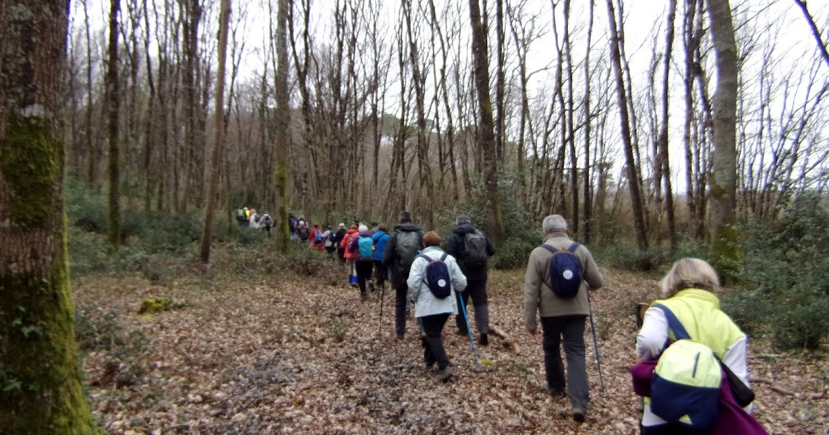 ACCORD ARTIGUES: Rando « normale » du samedi 8 février 2020.
