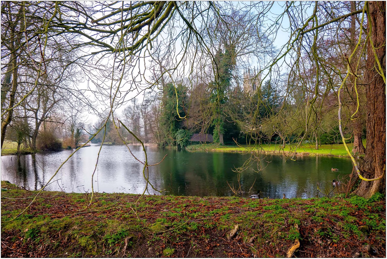 Lincolnshire Cam: Hackthorn Hall (Set 1 of 4)