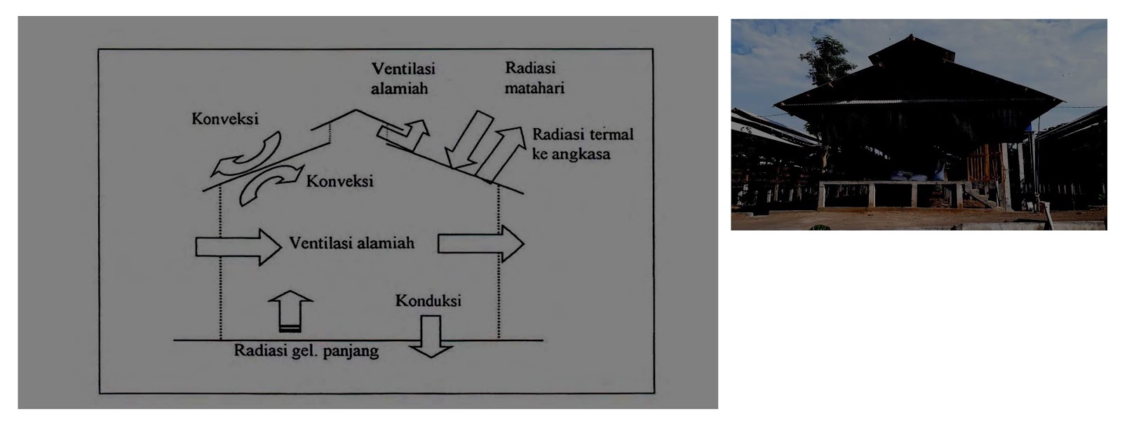 Gambar 1. Kandang dengan monitor.