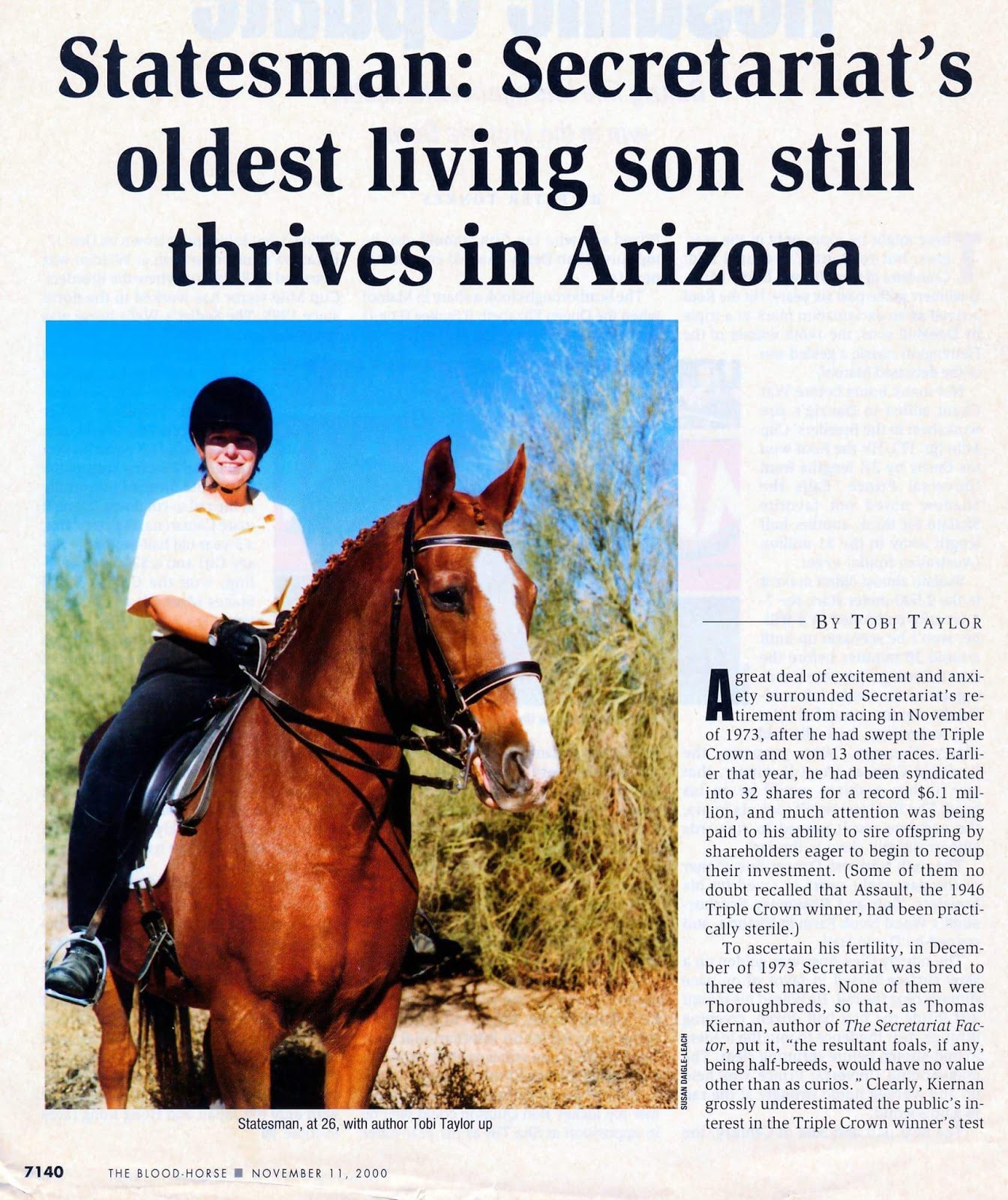 Musings from the Mare's Nest: Horses, People, and Pop Culture: An ...