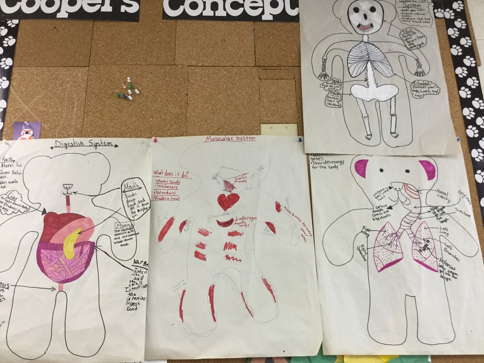 Panico's Page: Human Body Systems Concept Map