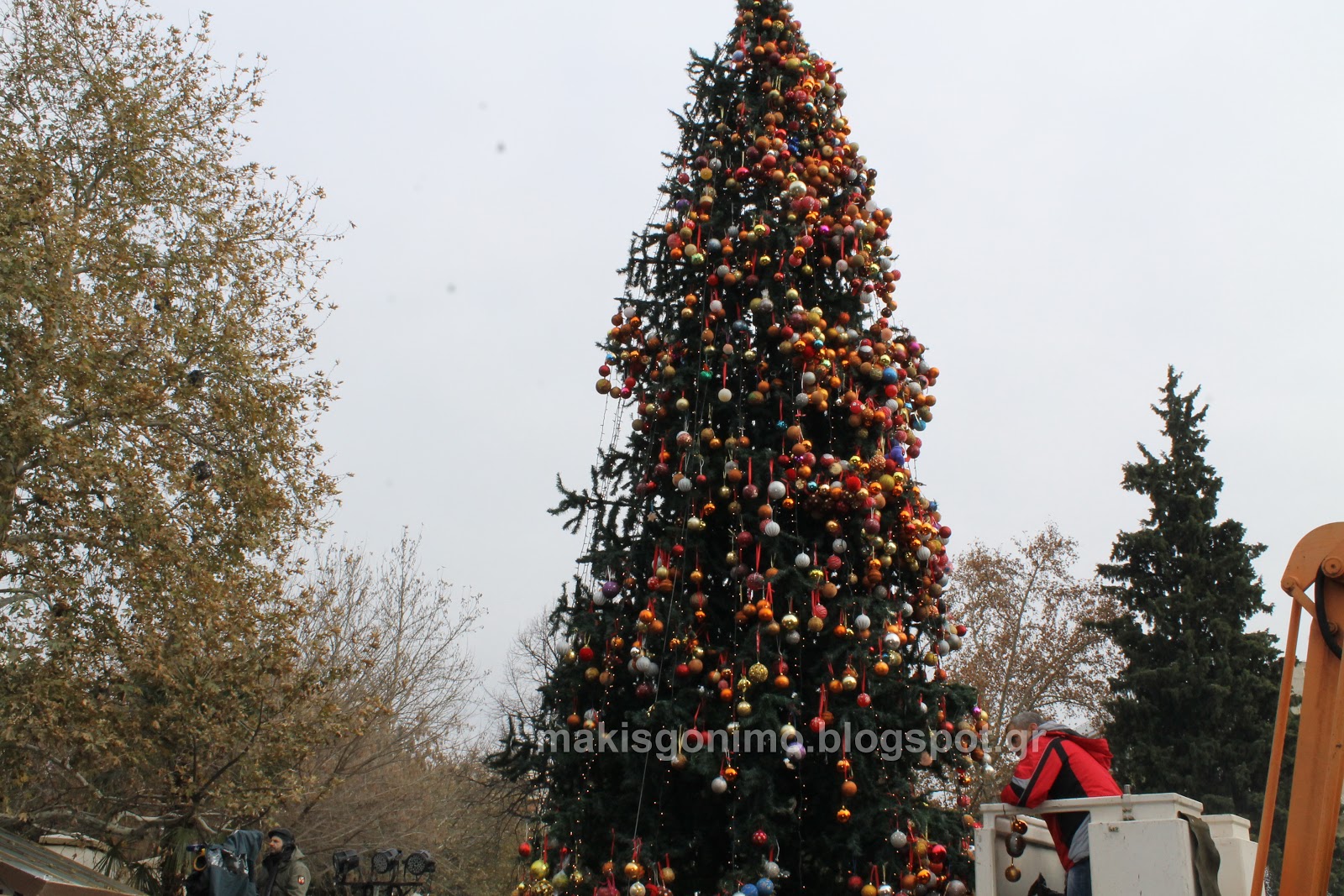 ΓΟΝΙΜΟ-live: ΤΟ ΔΕΝΤΡΟ ΤΗΣ ΑΓΑΠΗΣ-ΣΕΡΡΕΣ 2012