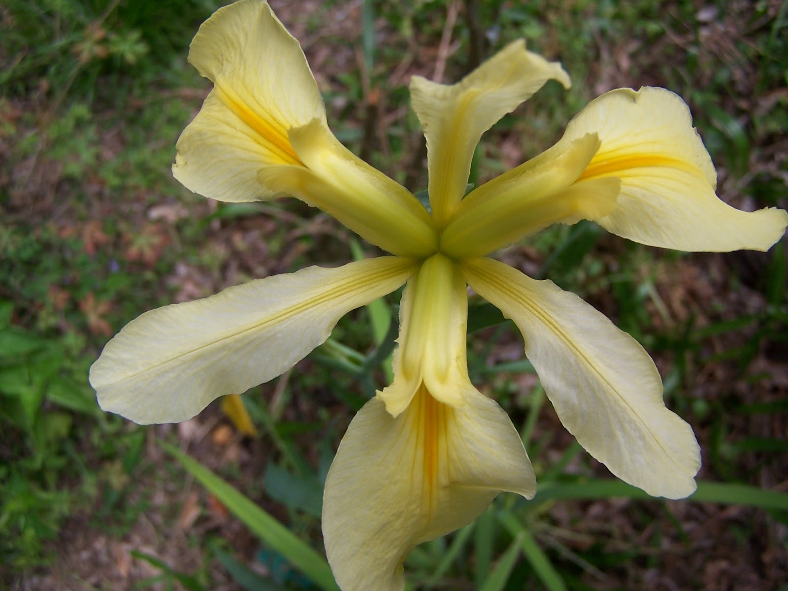 The Nature Dude: she's like a rainbow