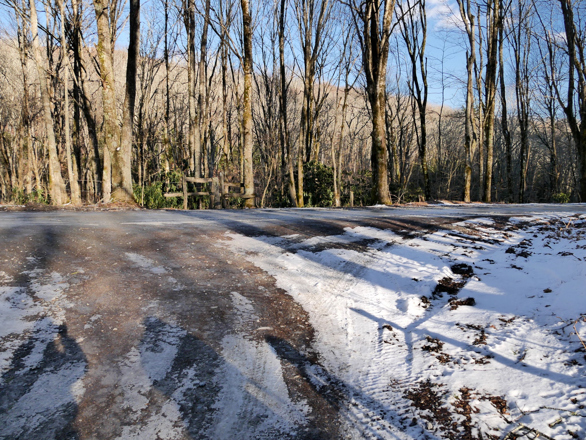 American Travel Journal: Max Patch Road to Max Patch Summit ...