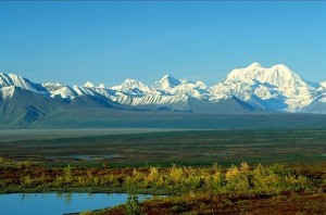 7 MACAM BIOMA DI DUNIA