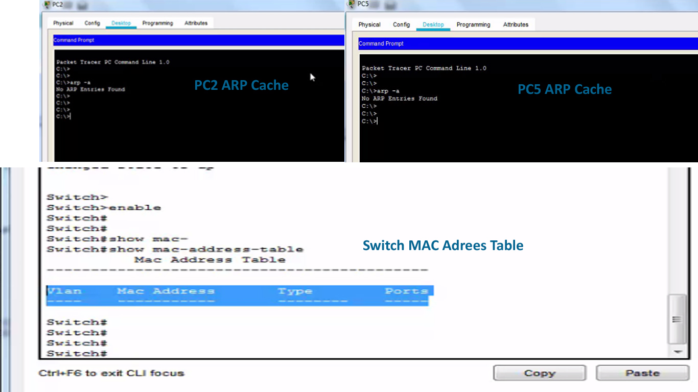 Show Mac Address Cisco Shipgera