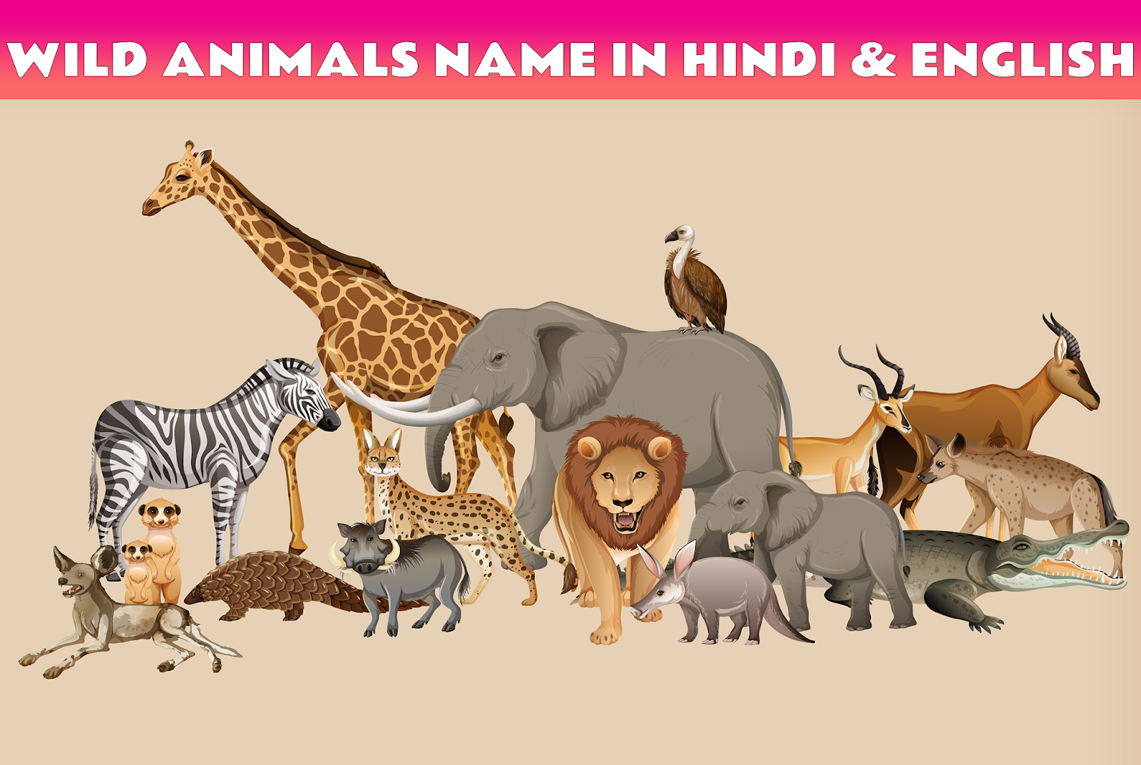 Wild Animals Name in Hindi and English - जंगली जानवरों के नाम हिंदी और ...