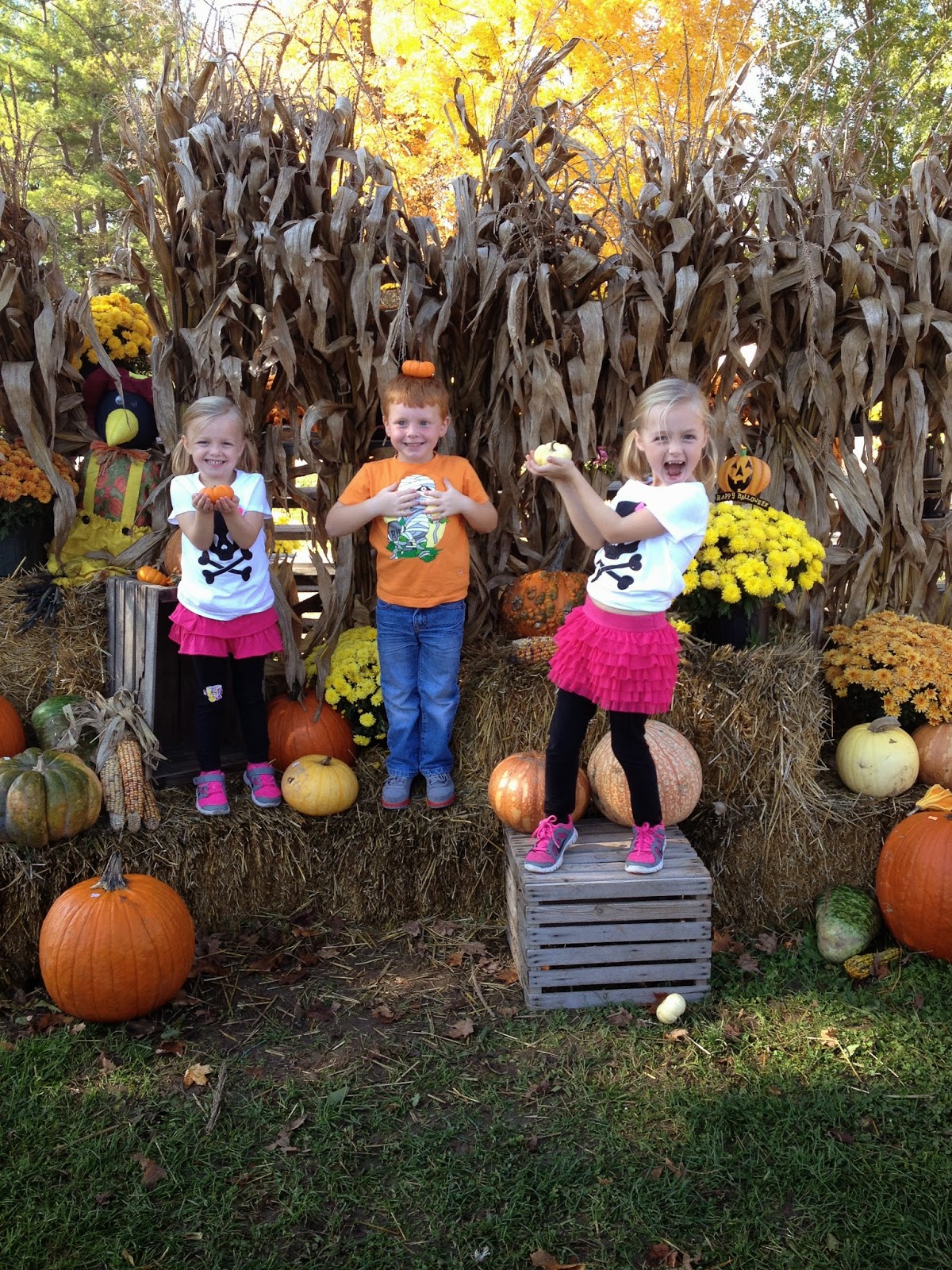 The McCulloch Family: Crazy Family Fun...