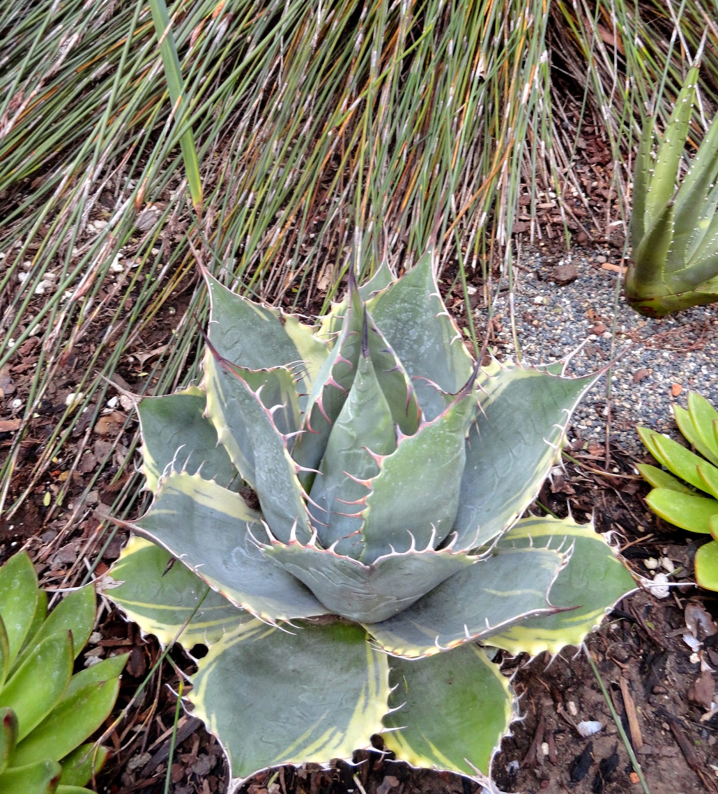 danger garden: My visit to the garden that inspires A Growing Obsession